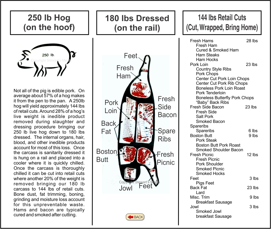 Freezer Pork – Stewart's Meats